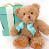Mr. Fluffy Plush Bear Toy with Aqua Bow - Soft & Lovable | Little Hugs