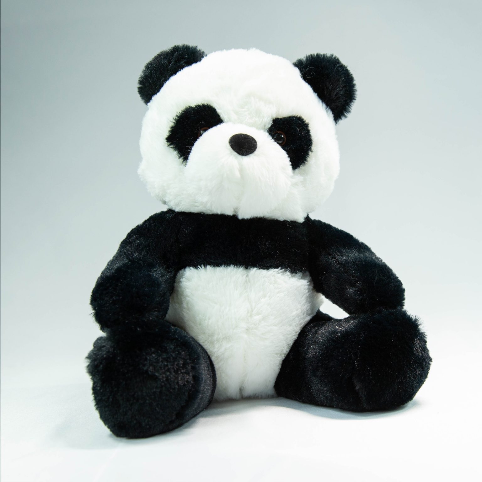 Pandy the Panda Bear Plush Toy - Cute & Cuddly | Little Hugs